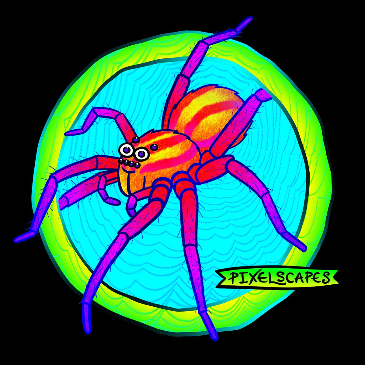Giant Wolf Spider | Jen's Pixelscapes